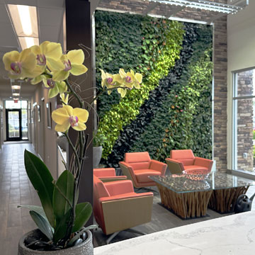 Interior Plantscapes & Green Walls in the Tri-state Area | Macbeth ...